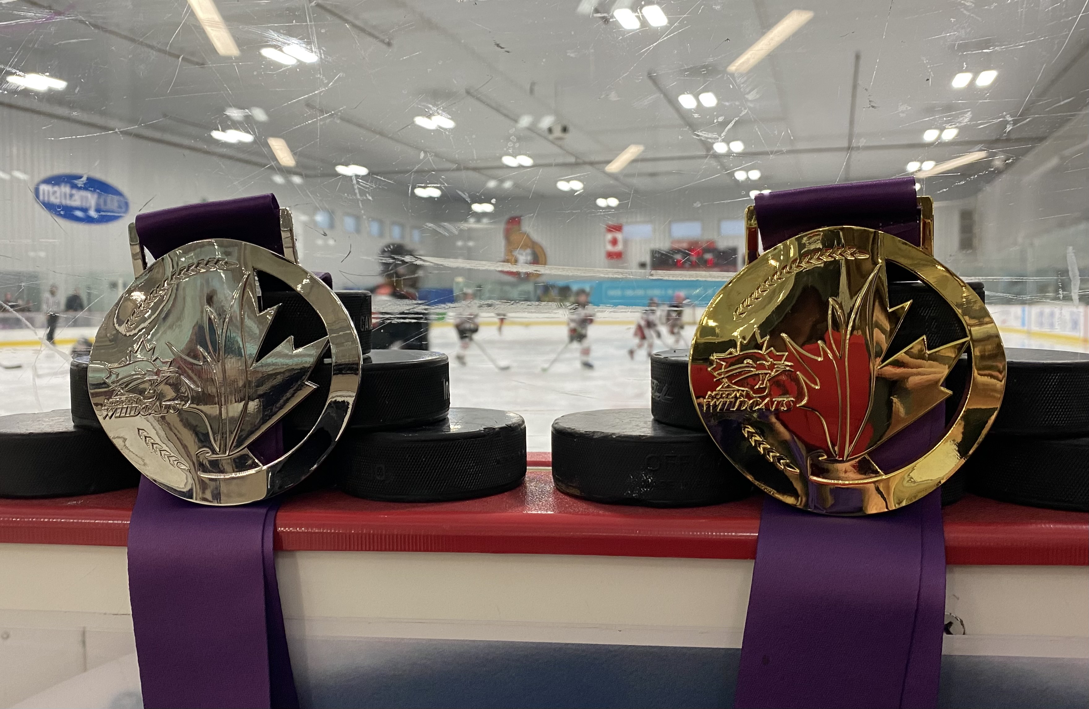 Nepean Girls Hockey Association : Website by RAMP InterActive