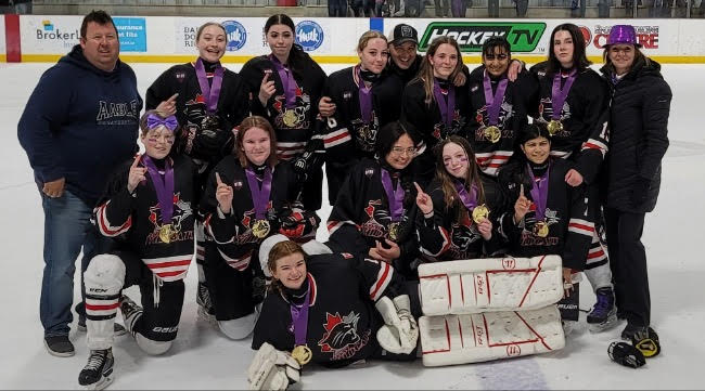 Nepean Girls Hockey Association : Website by RAMP InterActive